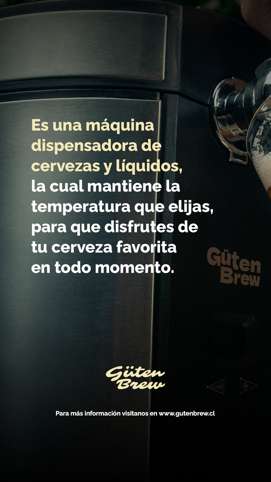 Guten Brew | Los mejores Dispensadores, Homebrew, Barriles – Güten Brew