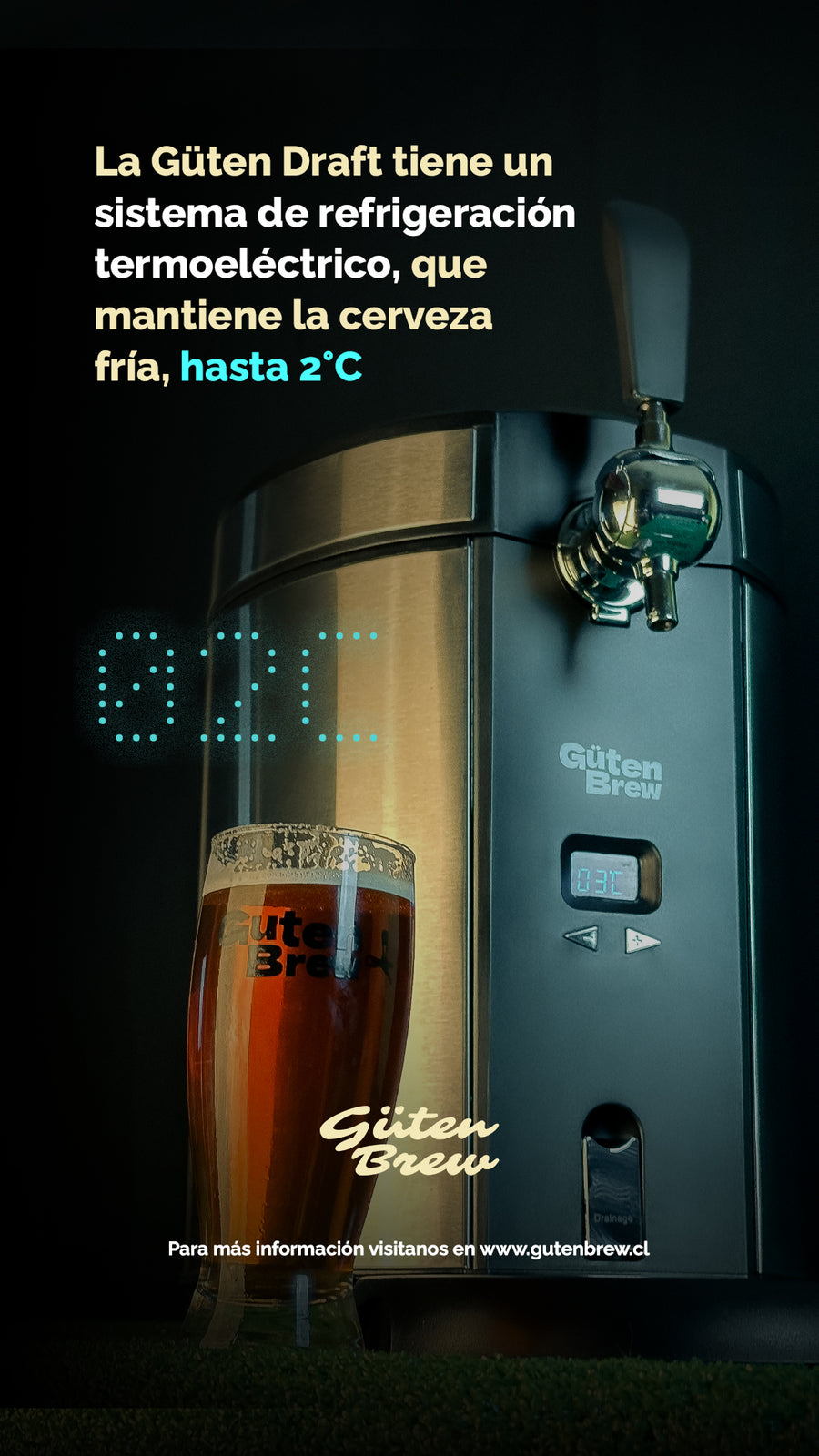 Guten Brew | Los mejores Dispensadores, Homebrew, Barriles – Güten Brew
